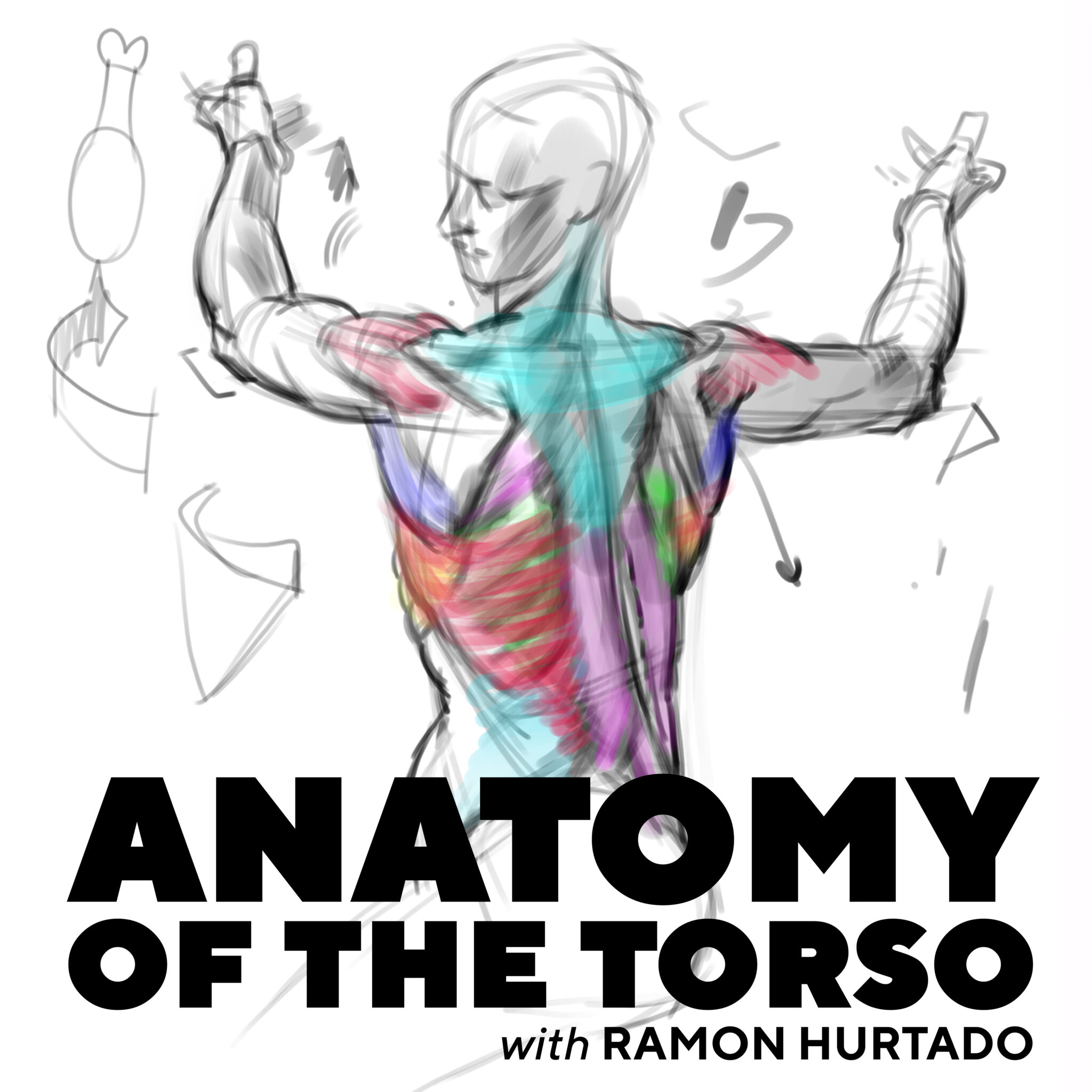 Ramon Hurtado: Anatomy of the Torso Videos – Underpaint Academy